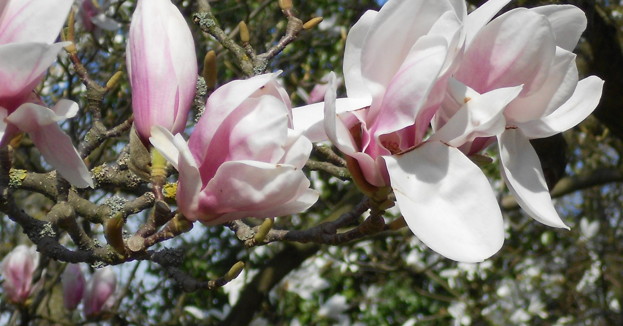 Ostern 2025 und Osterferien | KÖB St. Martin Mainz-Finthen