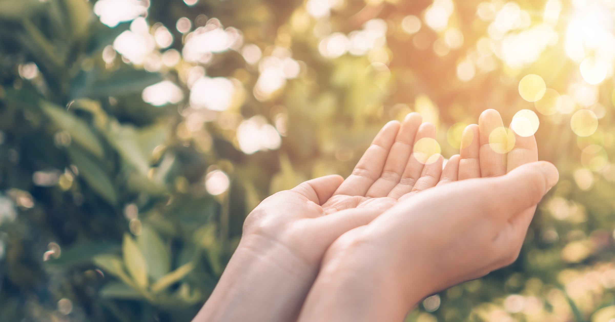 Gottes Gegenwart in der Geschichte meines Lebens – oder: Vom Segen ...