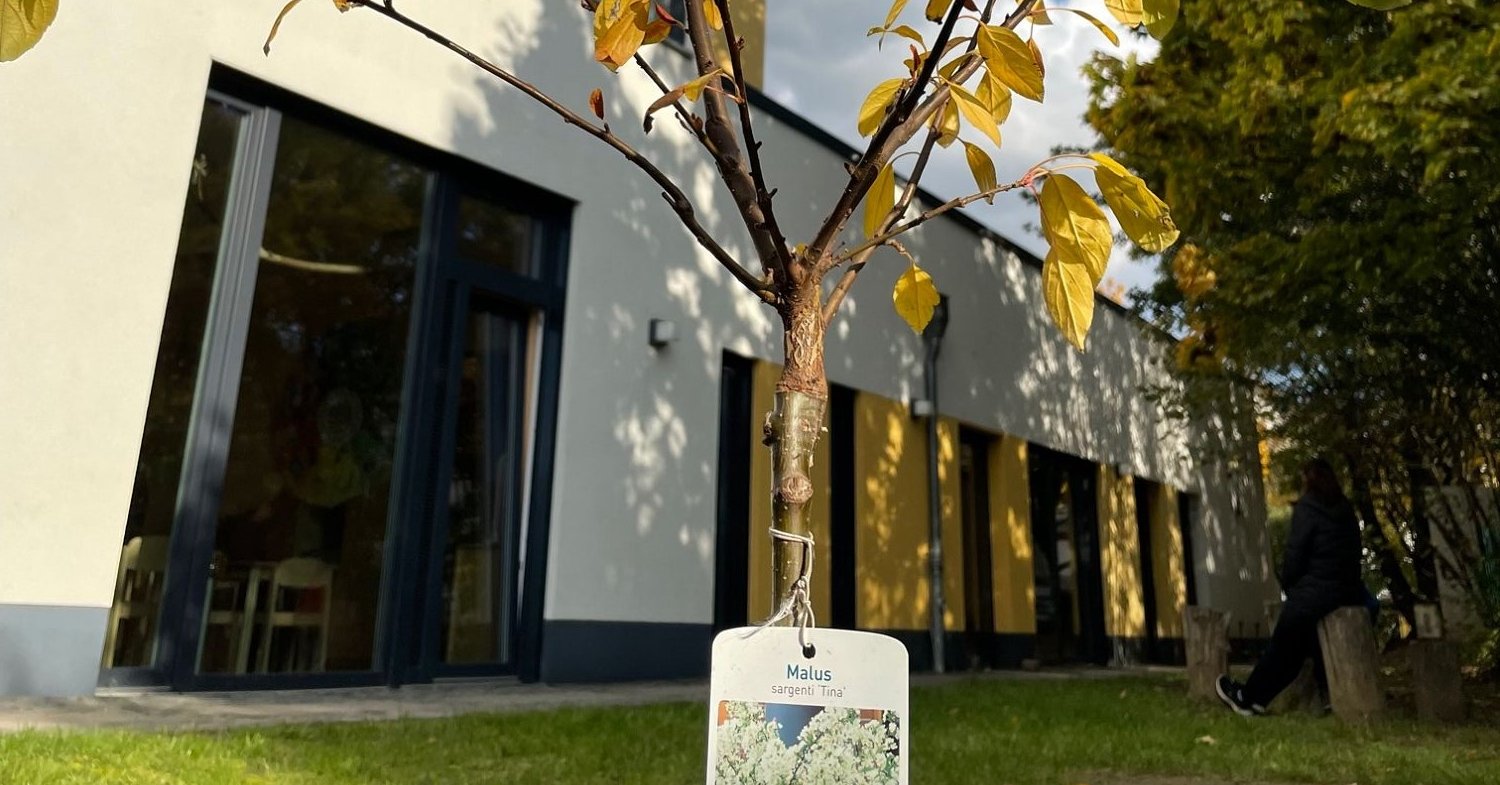 Wurzeln, wachsen, blühen, Früchte bringen | Pastoralraum Mainz Süd