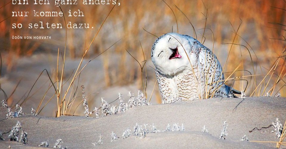 Eigentlich bin ich ganz anders ... Pfarrei St. Elisabeth Darmstadt