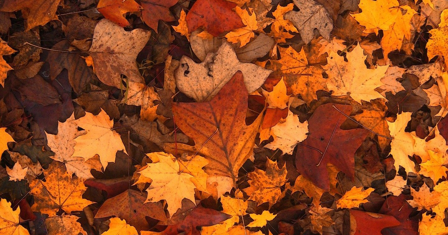 November