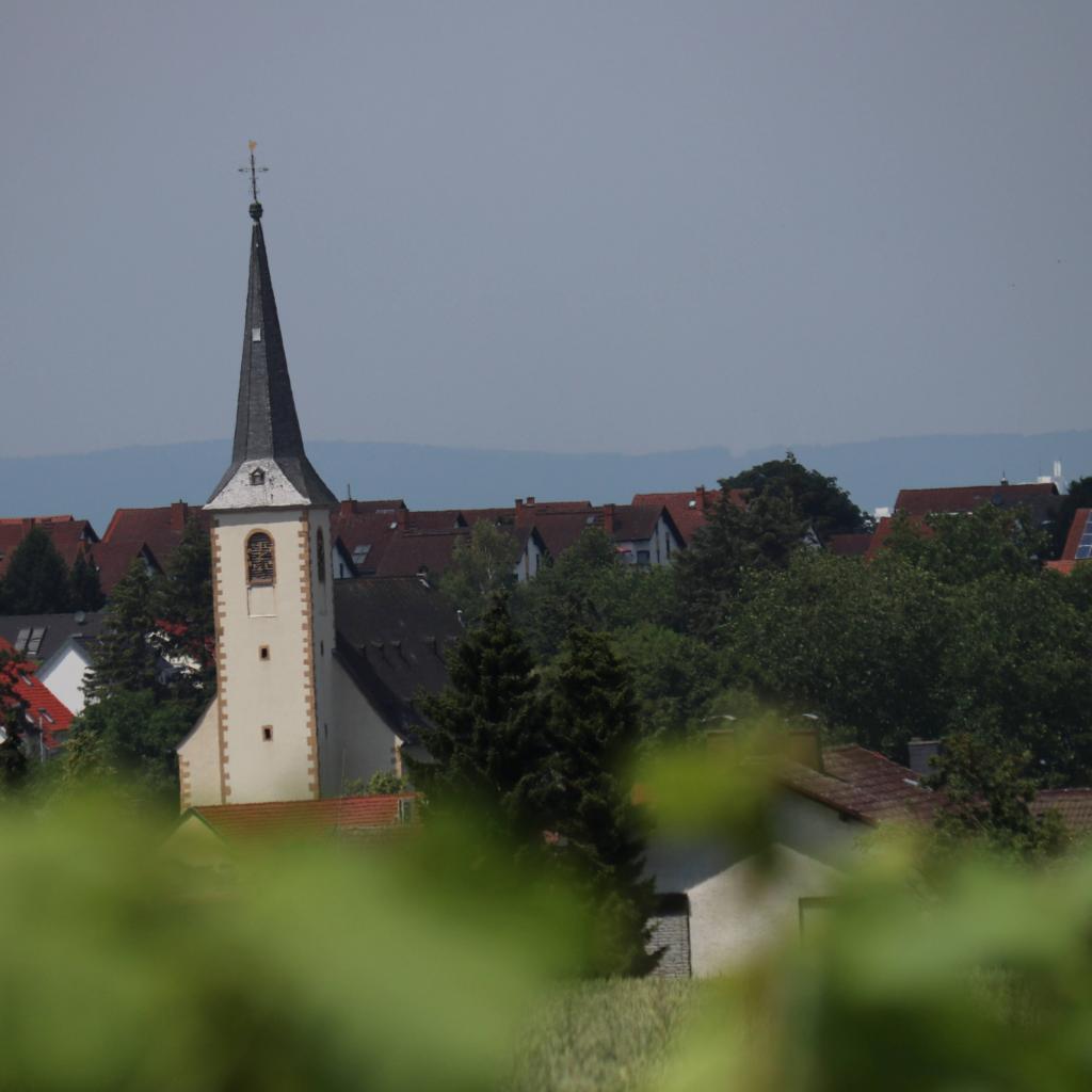 Pfarrgruppe Mainz-Hechtsheim/Ebersheim Pfarrgruppe