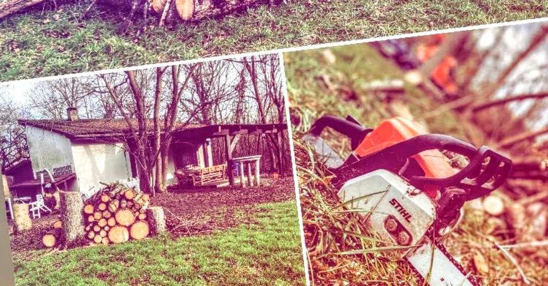 Frühjahrsputz im Gemeinschaftsgarten Worms | Pfarrei St. Nikolaus ...