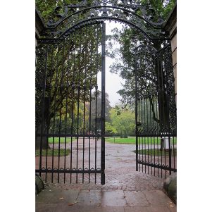 Wir binden Kräutersträußchen | Pfarrei St. Christophorus, Dieburger Land